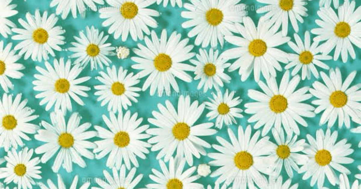 〜自己紹介〜初めてのnote｜nemui