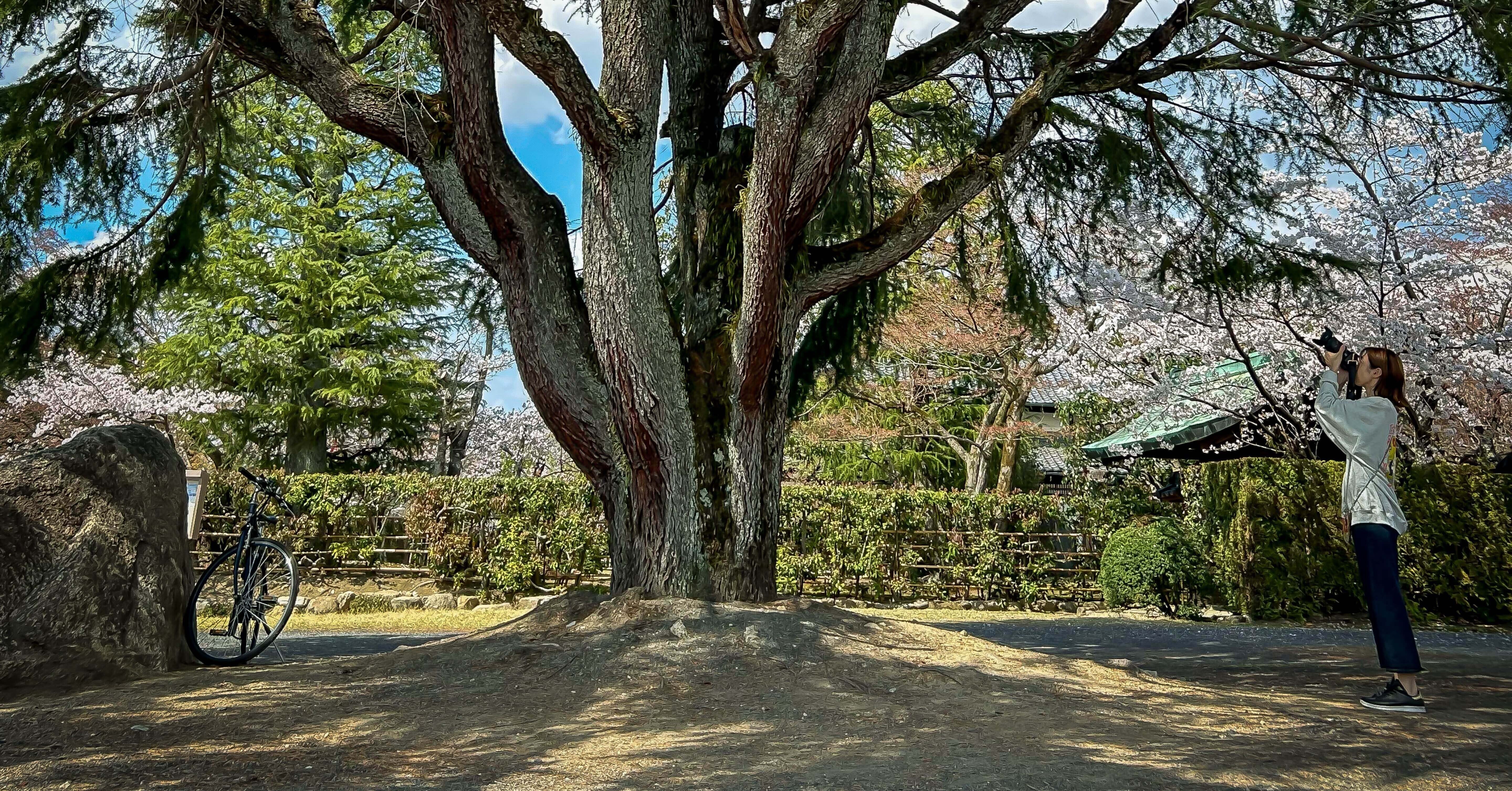 風景に添えることば｜Fuyuki｜note