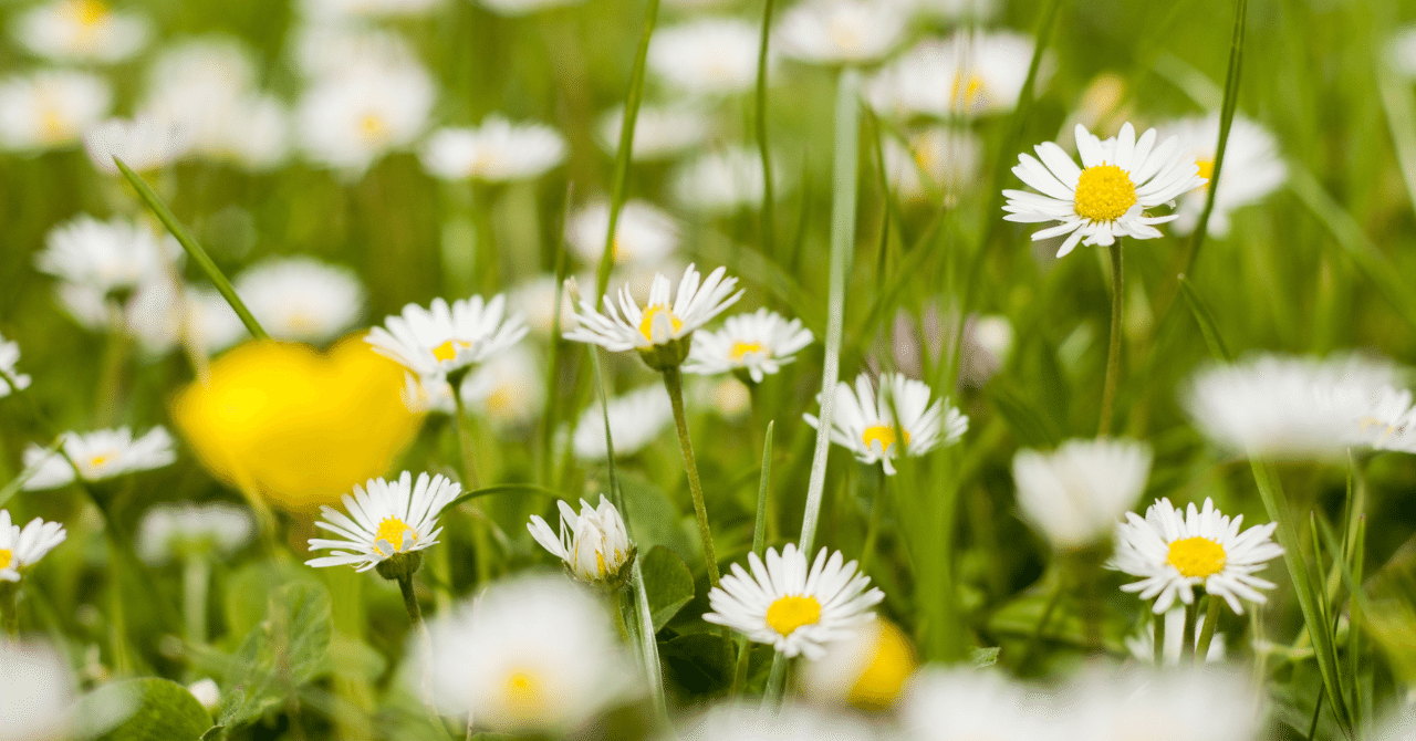 【2/2】パートナーシップ問題、母娘問題、自分軸なさすぎ問題｜Ryuta(小林龍汰)