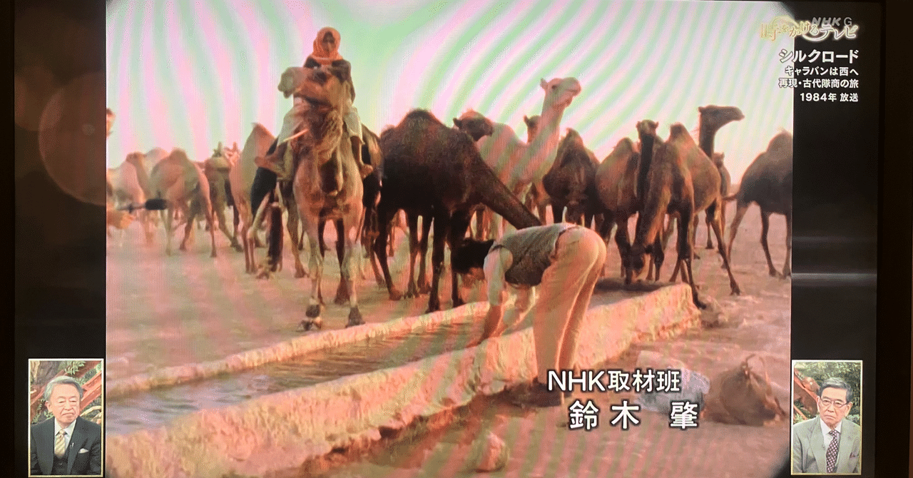 シルクロード キャラバンは西へ〜再現・古代隊商の旅〜(時をかけるテレビ NHK)｜一ノ瀬 彰