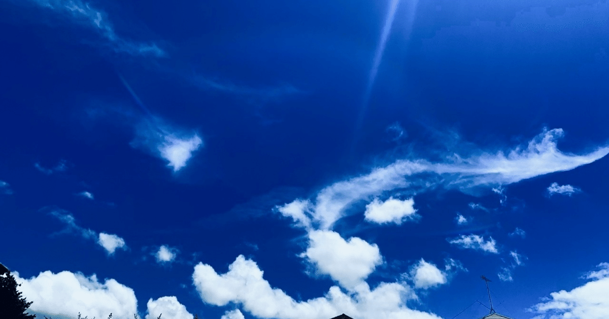 「我が人生は旅-風が運ぶ奇跡の物語」｜tamo-yan