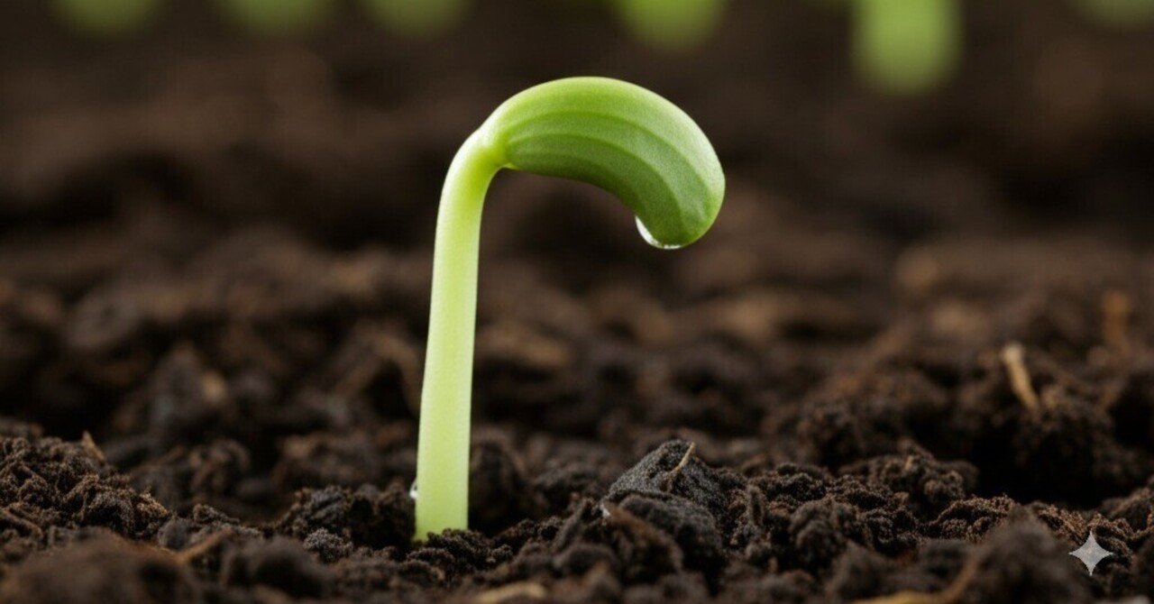 副業Webライターとして0→1を達成するまでにしたこと【準備編】｜TAKO＠専業Webライター