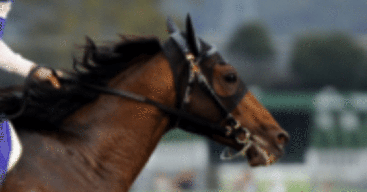 JRA東京競馬4/27(日)東京7R｜フジタカ