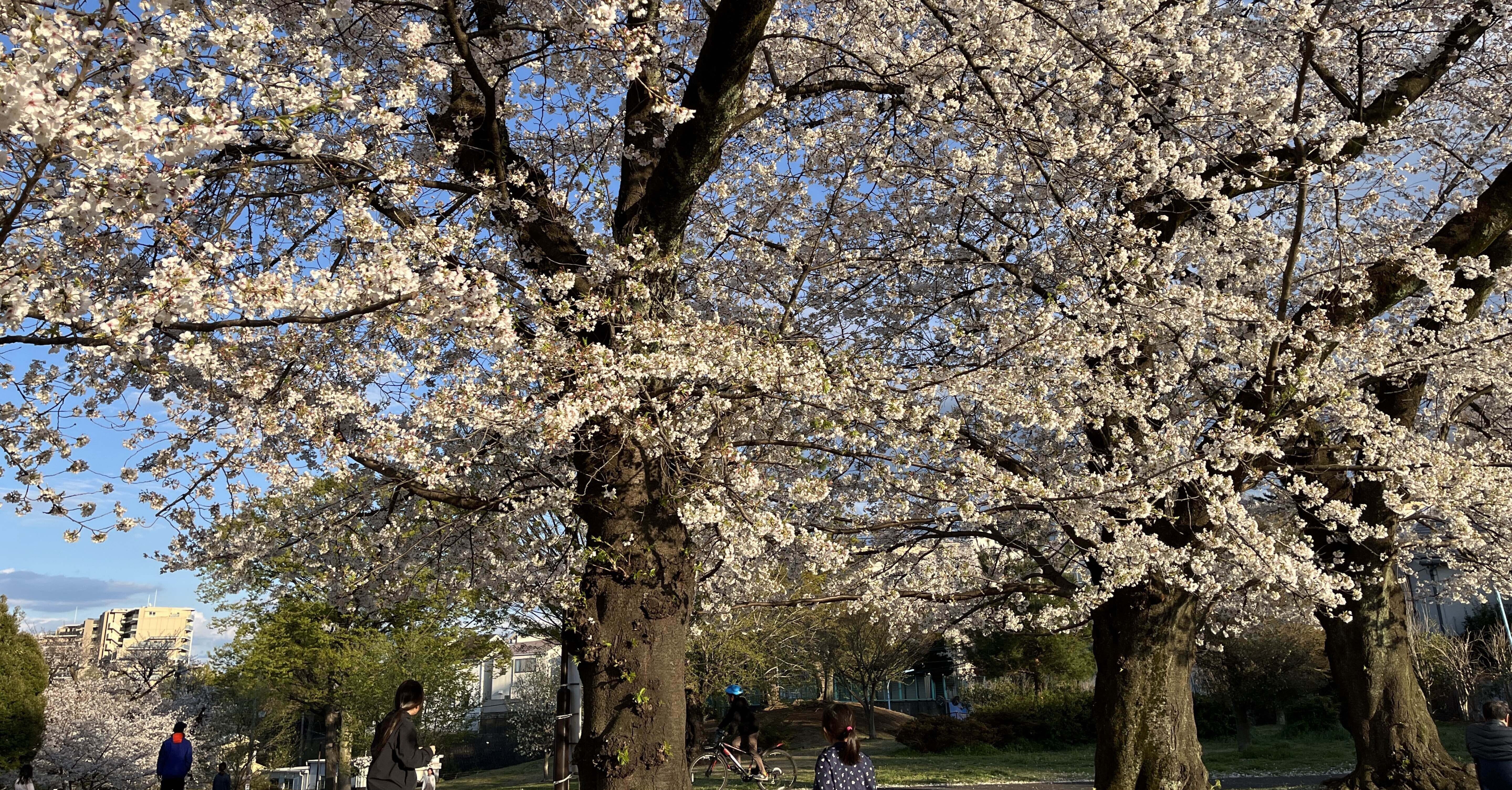 Ken Takahashi｜note