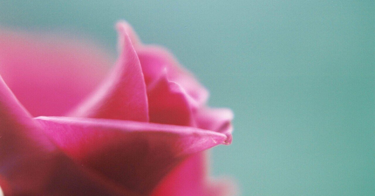 花みくじ｜Cosmic Suzu