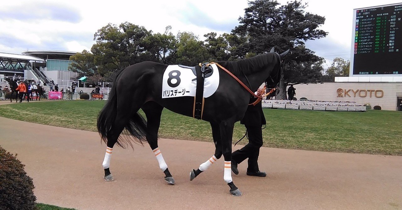 2/1（土）京都5R 1番人気馬｜JRDB 競馬アラカルト