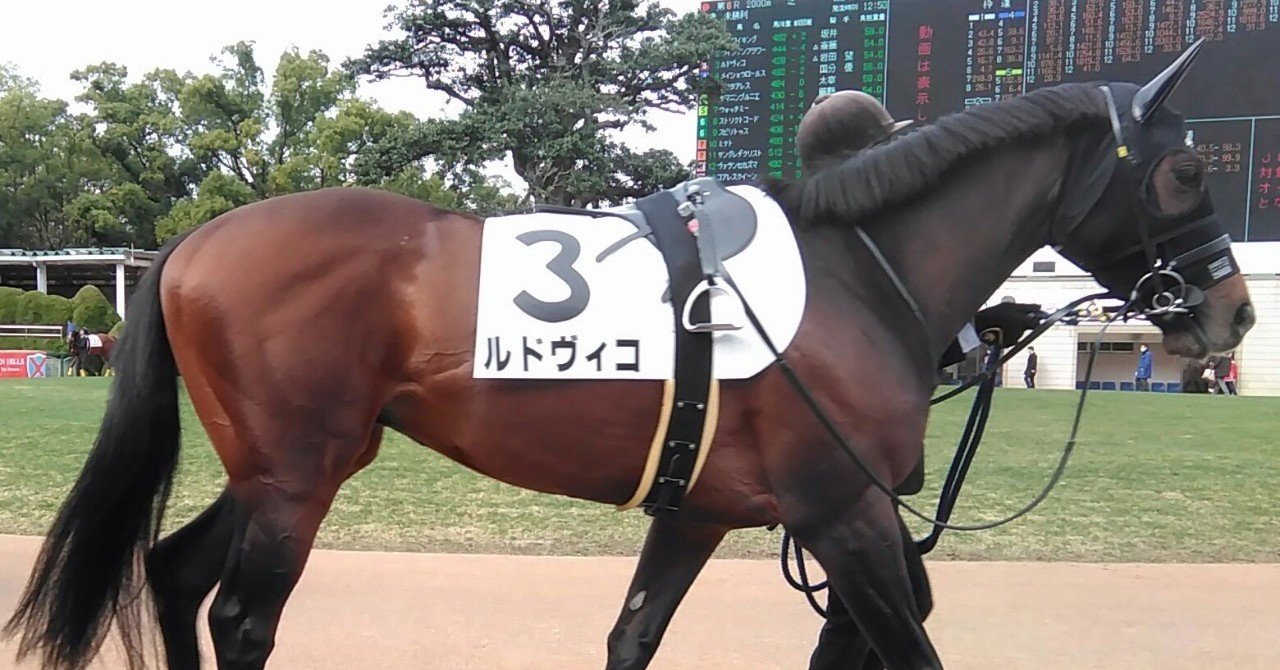 2/1（土）京都6R 1番人気馬｜JRDB 競馬アラカルト