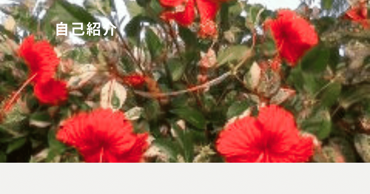 自己紹介・生き方とポリシー｜tamo-yan