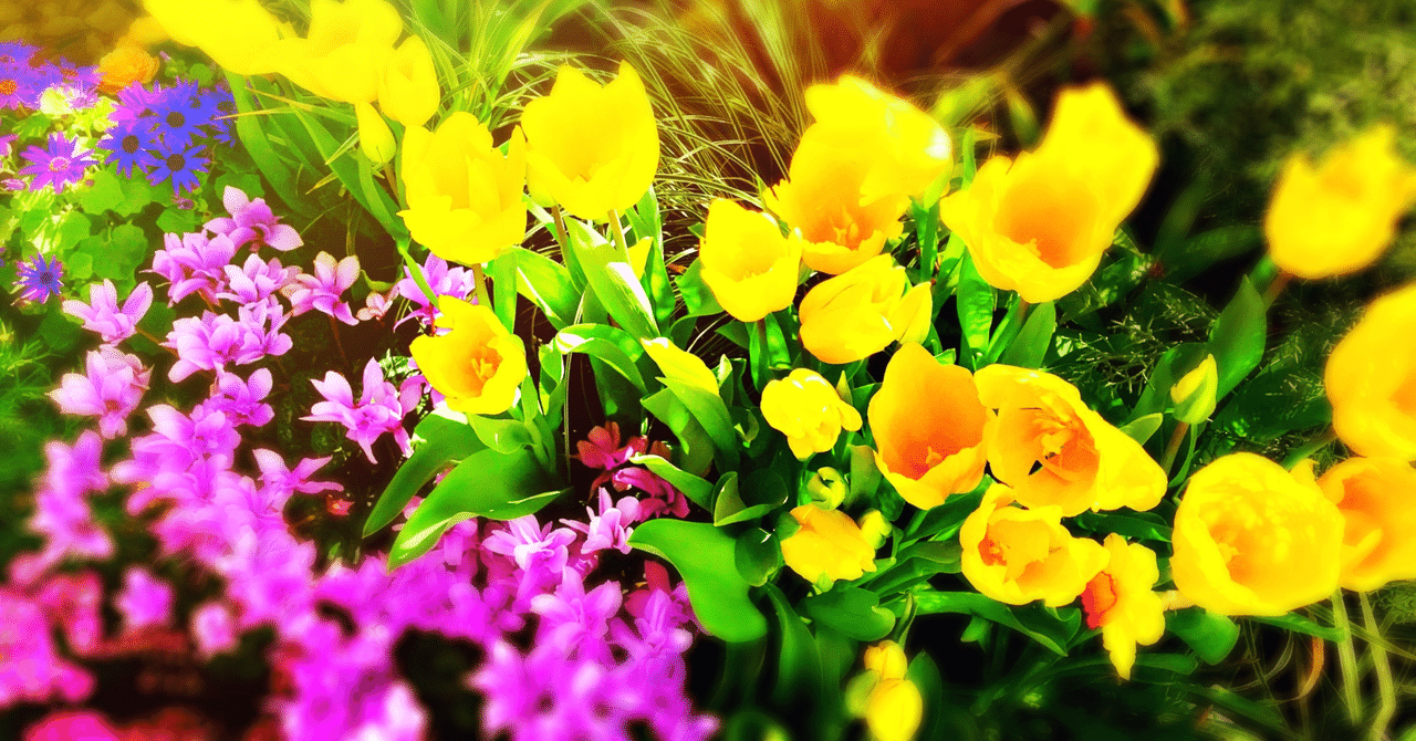 急がしい朝にしか見えないもの｜kyoko