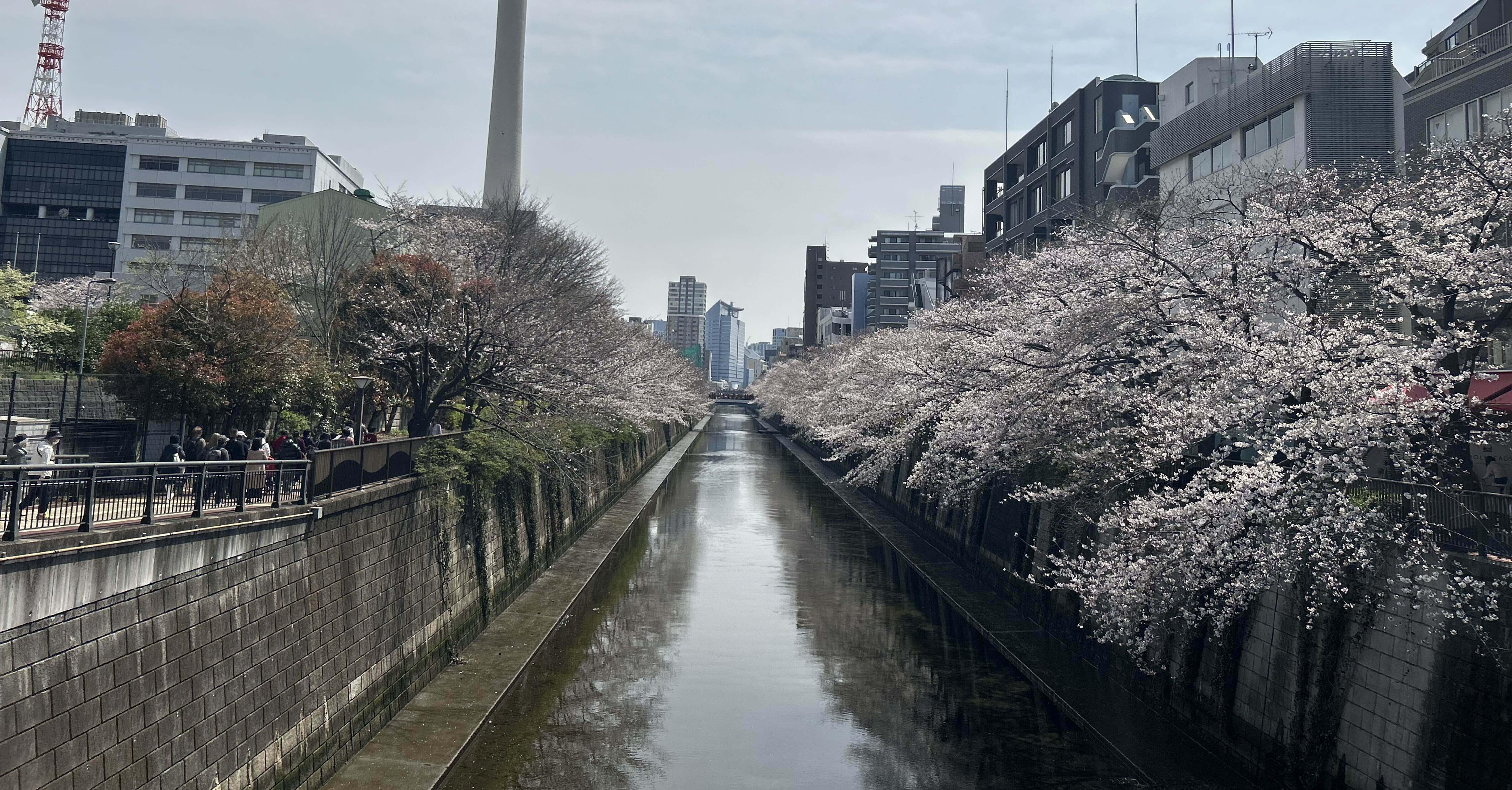 SaTo Visionary｜note