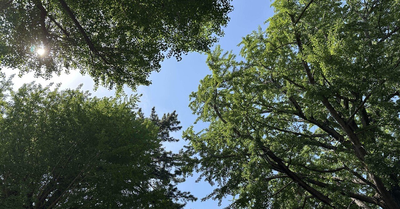 ジャミング（妨害電波）｜RIHO