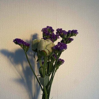 葉月￤Hazuki｜note