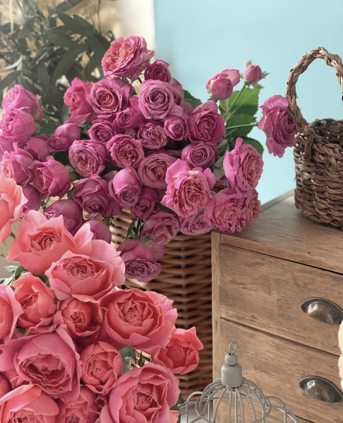 atelier trois boisより バラのマルシェのご案内🌹｜マイソール宝塚