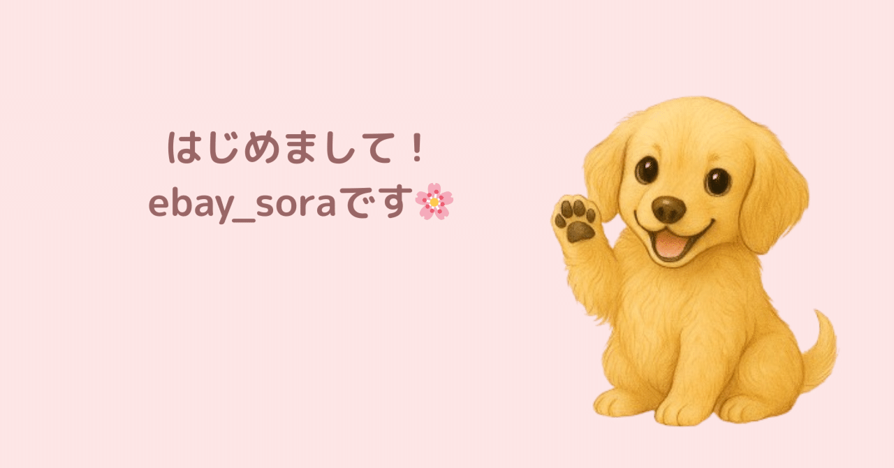 何度も挫折した私が、もう一度eBayに挑戦しようと思った理由｜ebay_sora