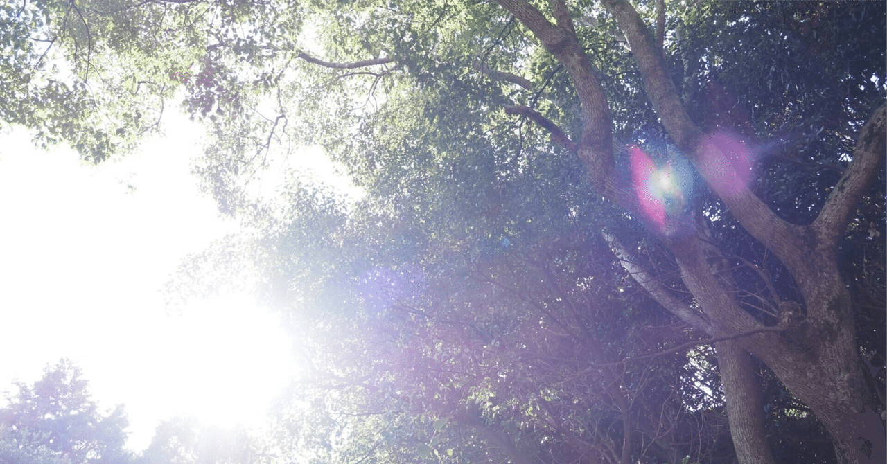 光になりたい、と。｜びわこのひと atsumi