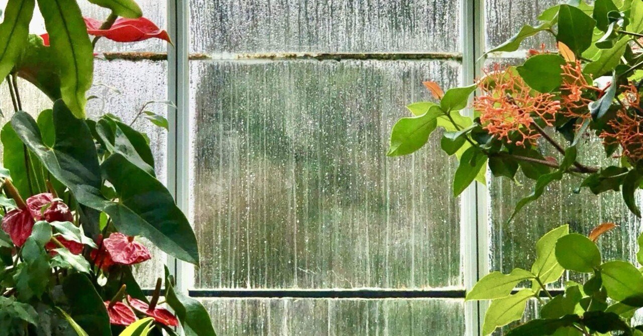 矢印の方向を変える／悩みの沼から出る｜Hiroko Aoki