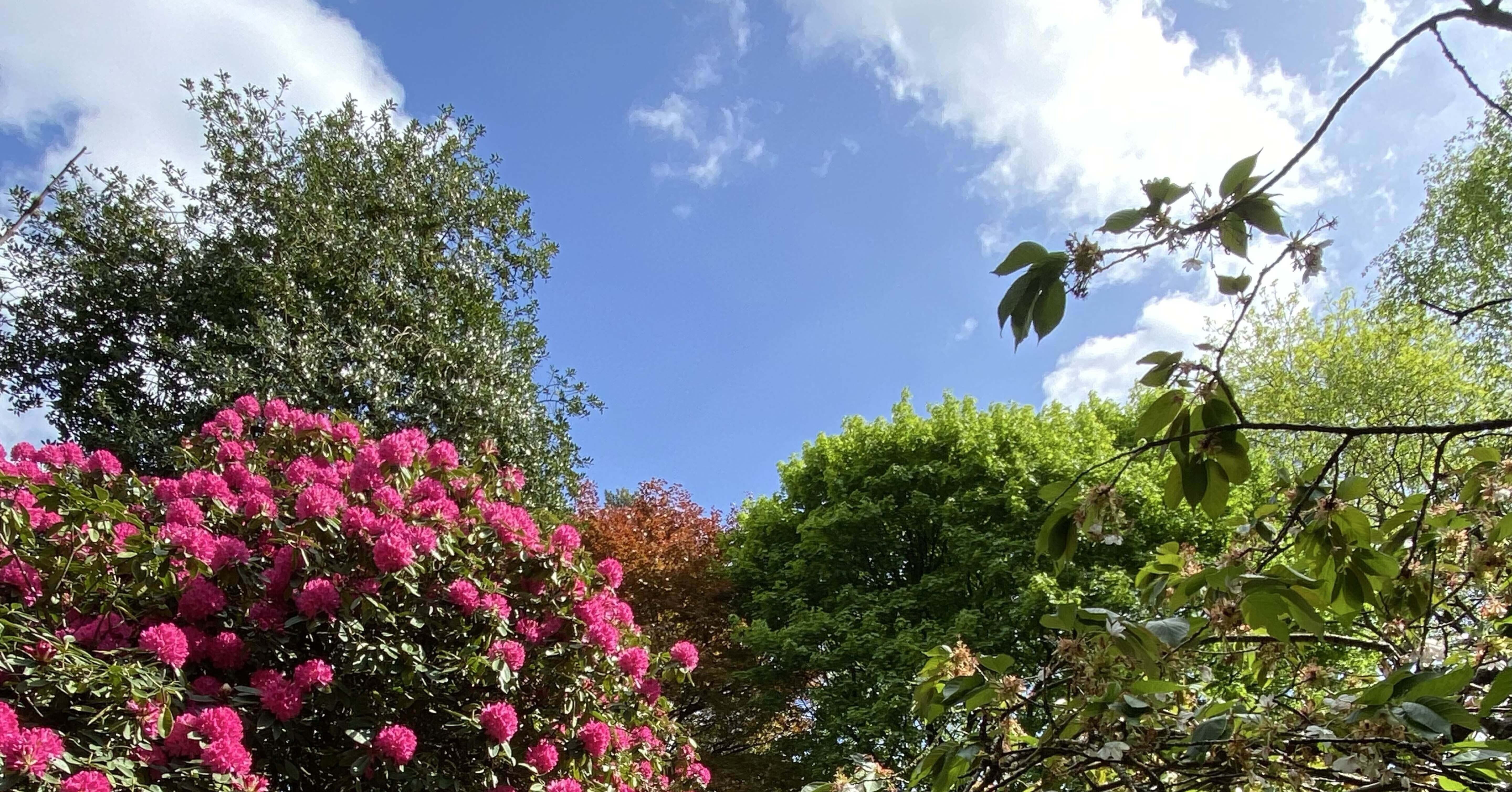 Kengoro Goto (後藤 献五郎)｜note