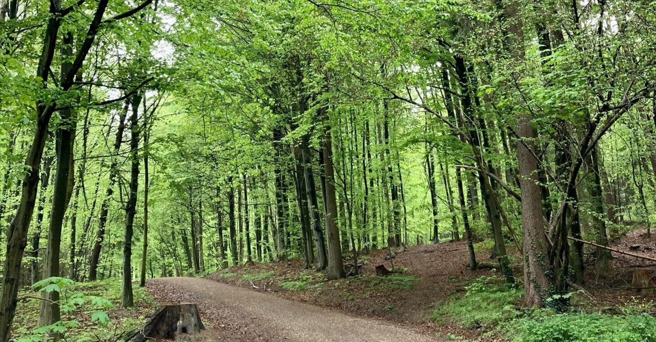 気付いていなかった感情 ・ もう届かない言葉…｜慶児道代 (Michiyo Keiko)
