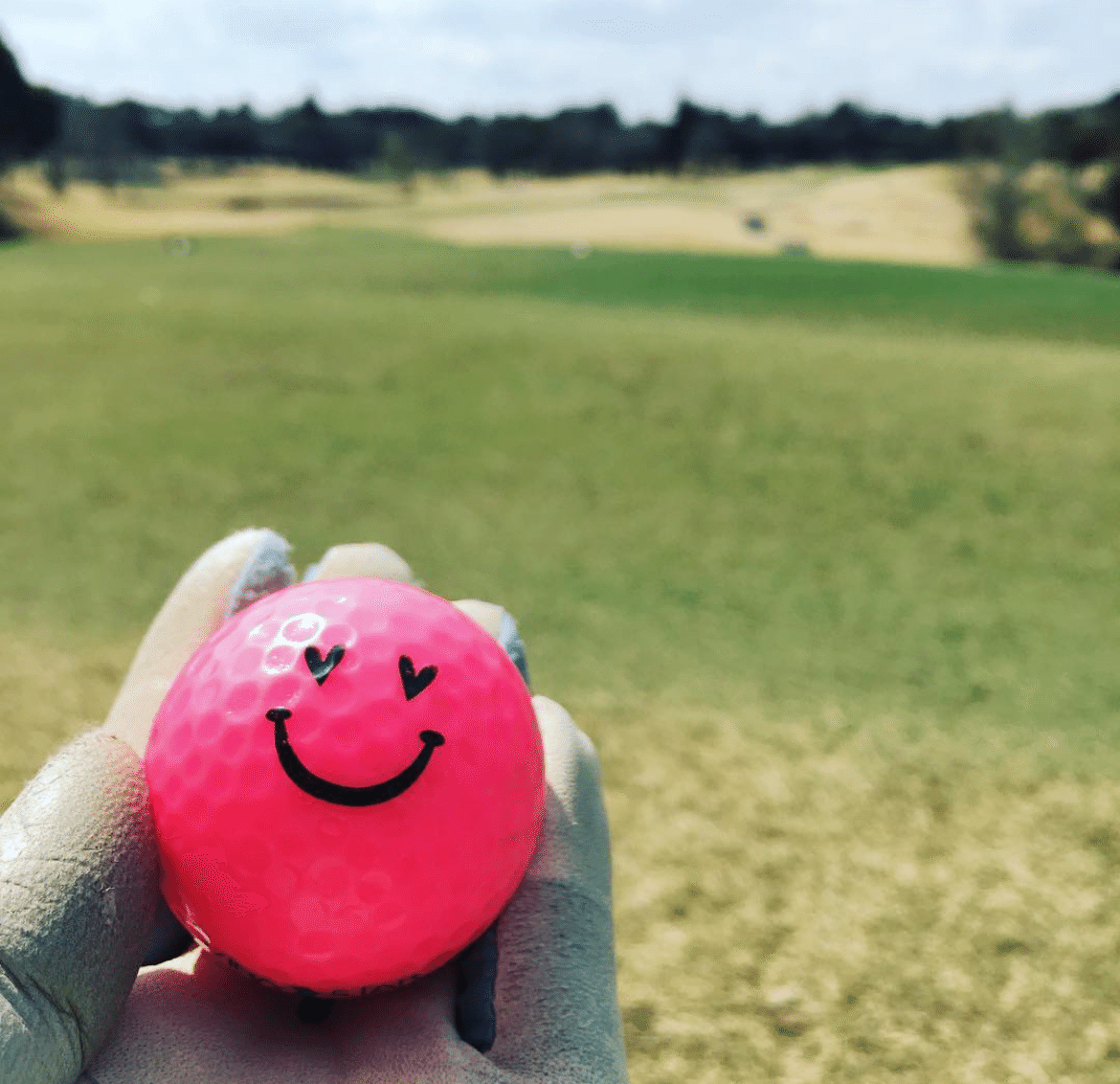 ゴルフに行って白い大蛇に会ったお話｜mako＠plants