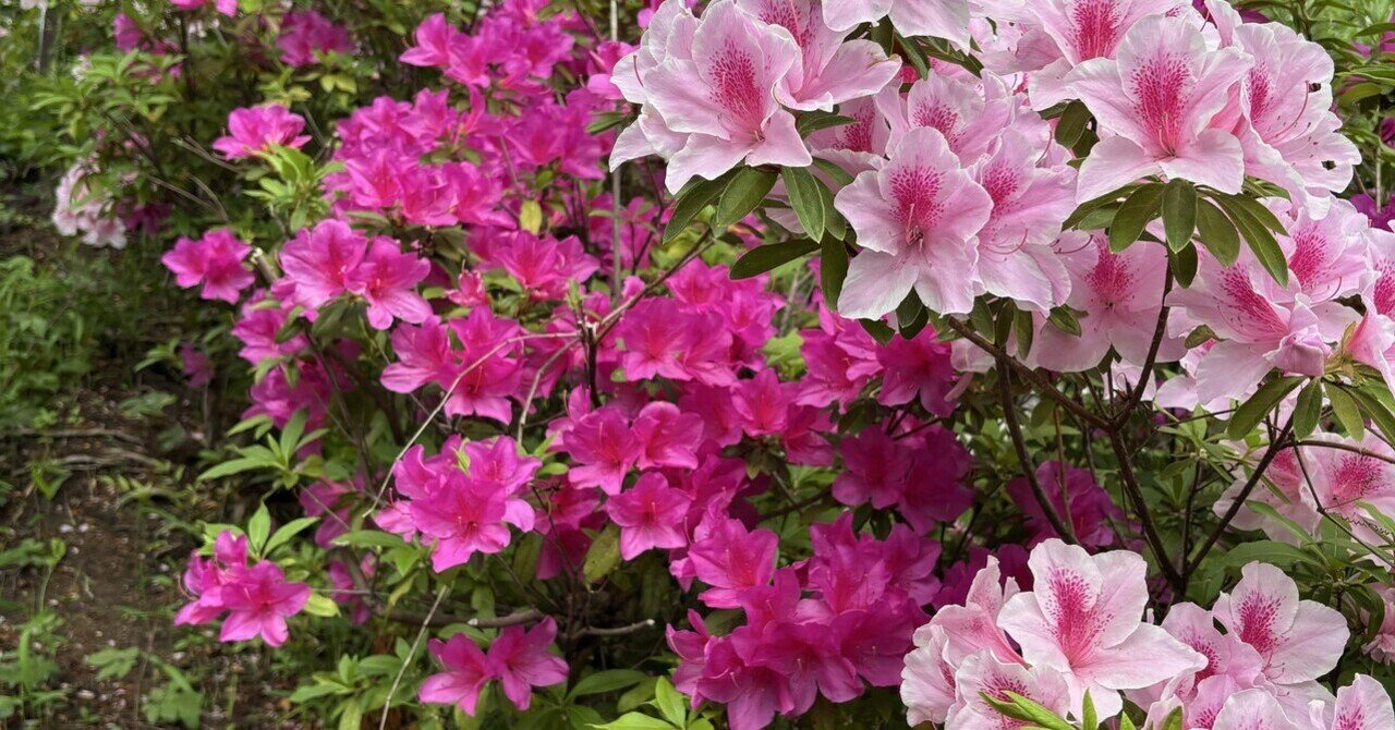 和式トイレの使い方、どっちが正しいの？｜Uchan