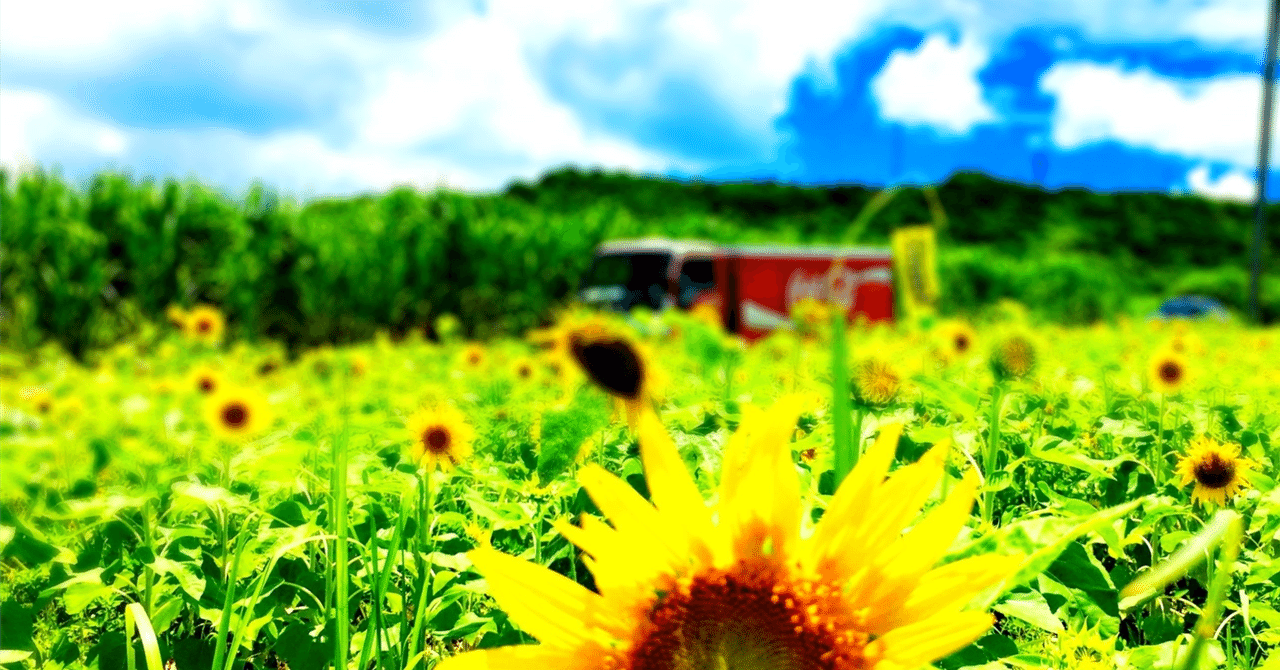 【自然哲学に基づくDbie式起業教育カリキュラム】｜古舘貴之"神のビジネス研究所"-calling-【ドビー】