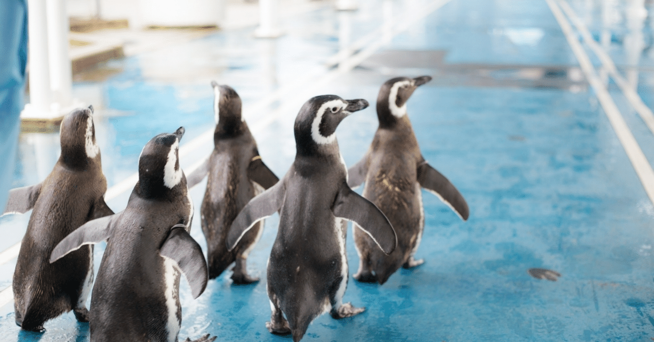 【日記】PC版インスタで自分の投稿が表示できない件の解決法｜asuka@体調不良のため諸々滞っております