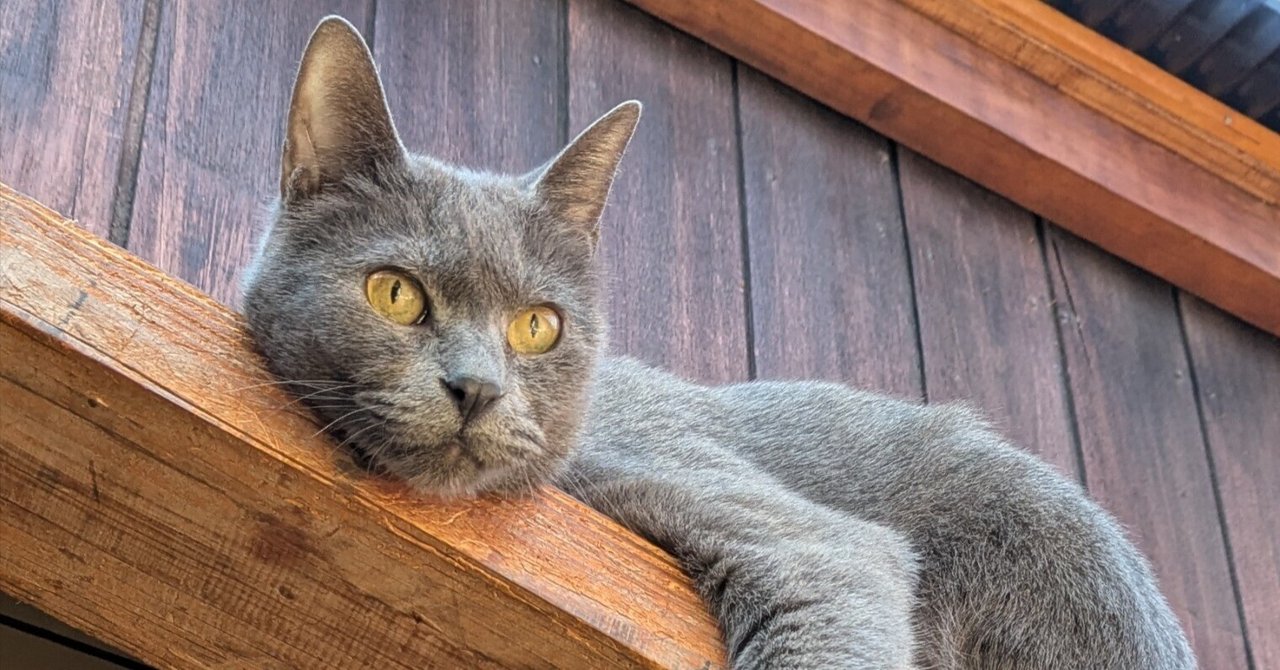 本日の晩御飯[4/29]｜kei1diablo