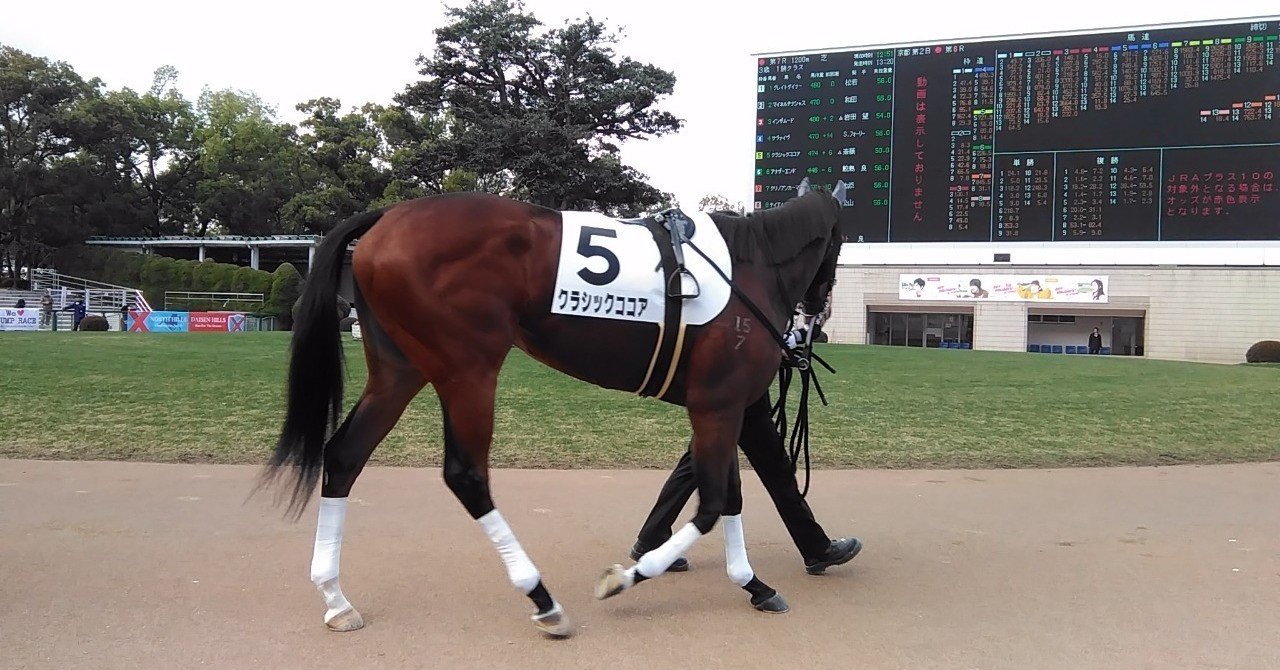 2/2(日)京都7R 1番人気馬｜JRDB 競馬アラカルト｜note