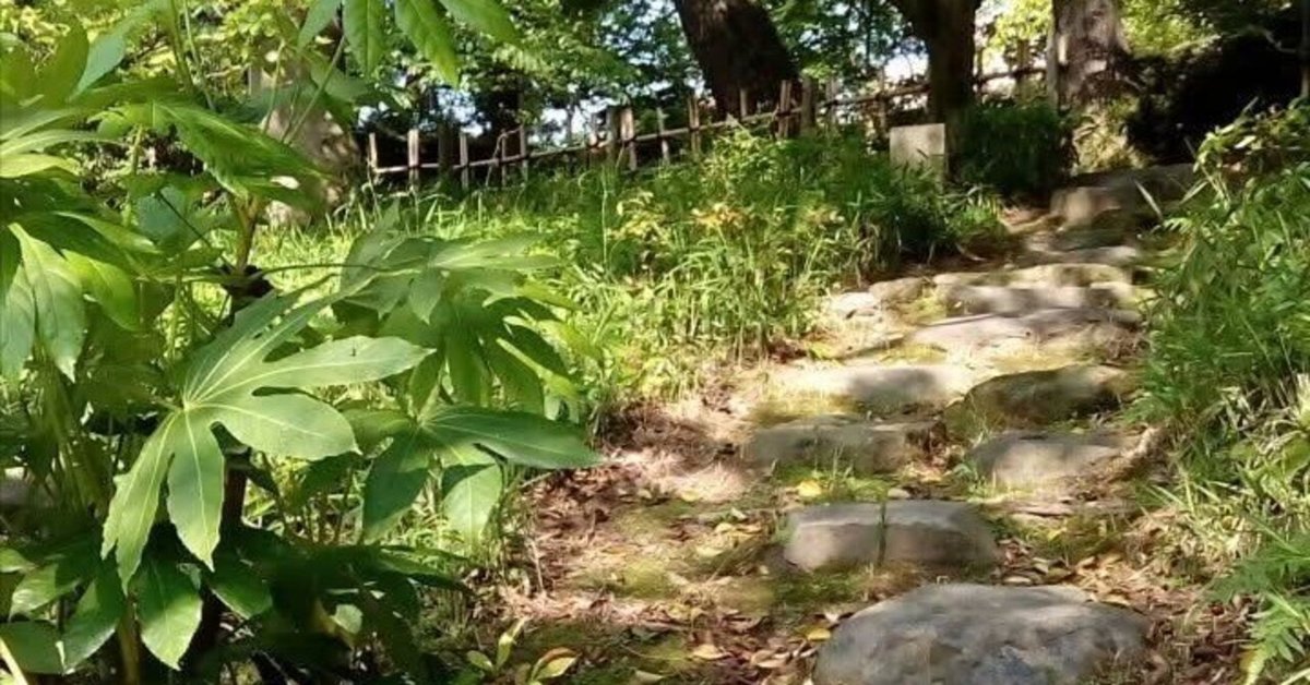 【木漏れ日】｜七色アガサnanairo_agasa