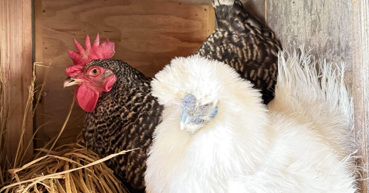 「連れションと連れランの関係」｜Dan Takuma