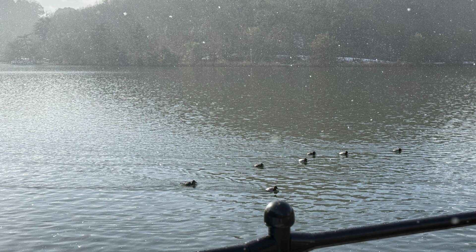 もうすこし、ここにいる｜haru｜note