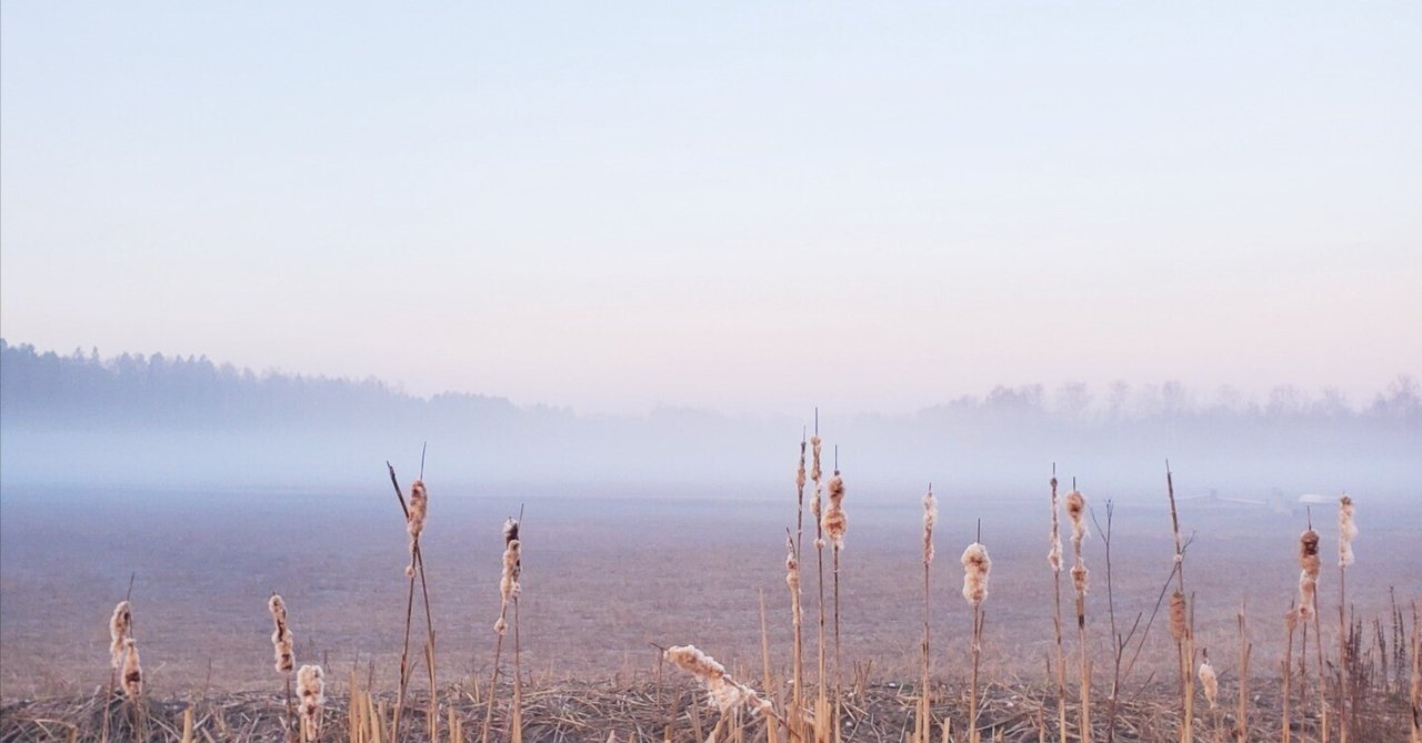 2025年4月 ふりかえり｜Matti