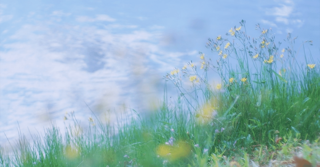 戦時を生きる少年少女の青春大河＊『ルーパートのいた夏』｜真帆しおん＊Shion MAHO