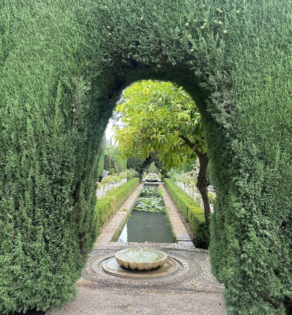 スペイン旅行記③🇪🇸｜かたくらです