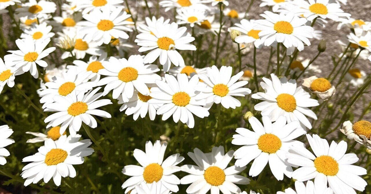 月末らしい｜yukkey