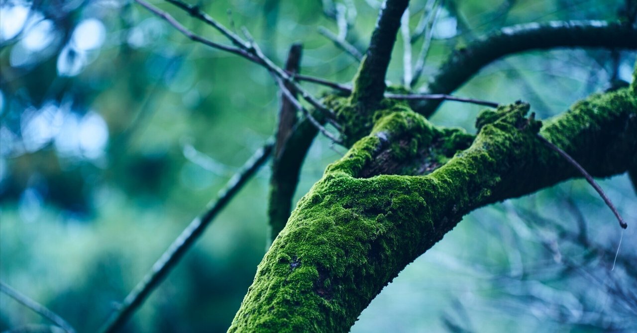 Niigata Re-Find｜第1章 なぜ僕は、新潟にラグジュアリーオーベルジュをつくろうと思ったのか｜Motoki Kumagai