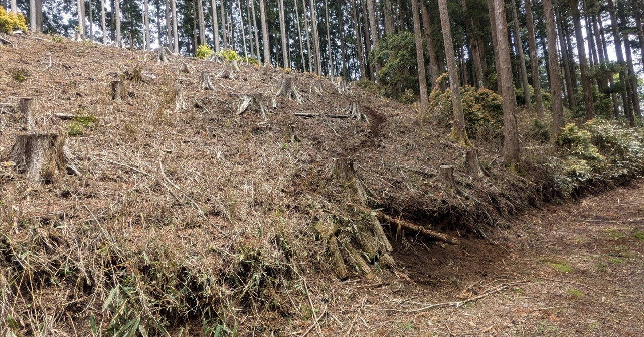 植樹地の整備｜h.shiba