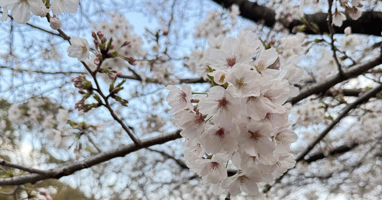 「会社・業界・世の中の動き」知見の重視から読み取る広報の要素｜Noriko Nakane