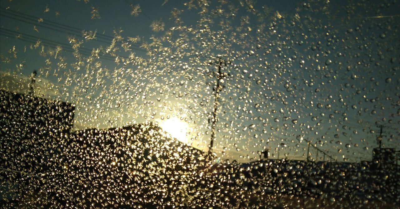 2月1日（土）昨日を振り返ってゆっくりした日｜furuko