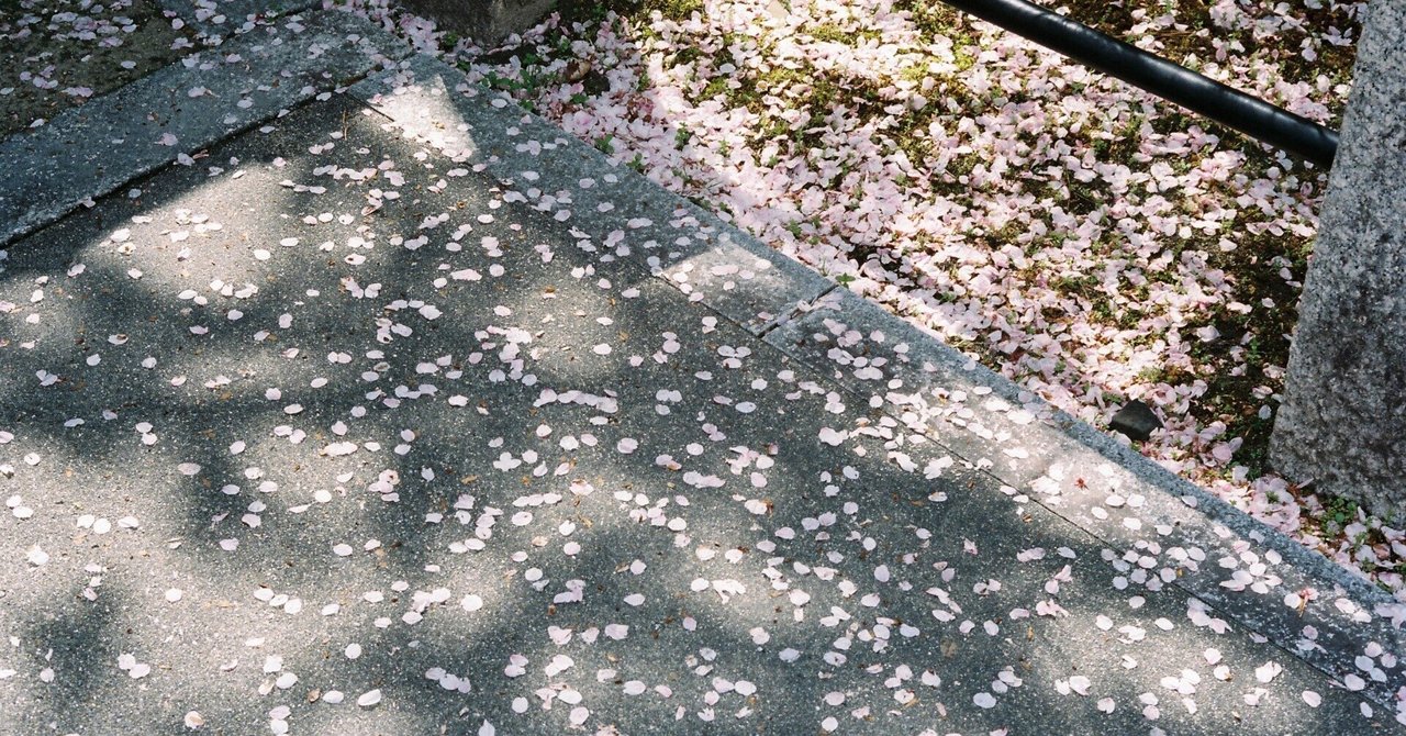 オンライン写真集連載企画「黎明」vol.4｜成瀬健/Takeru Naruse