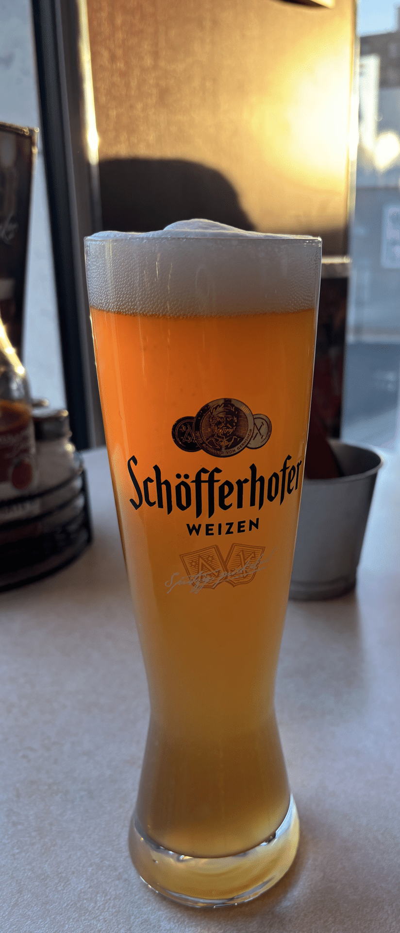 ドイツに滞在して1ヶ月が経った｜わんわん