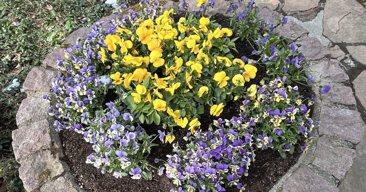 自分の違和感を信じて良いぞ🐉 ｜Hakuto Eiko