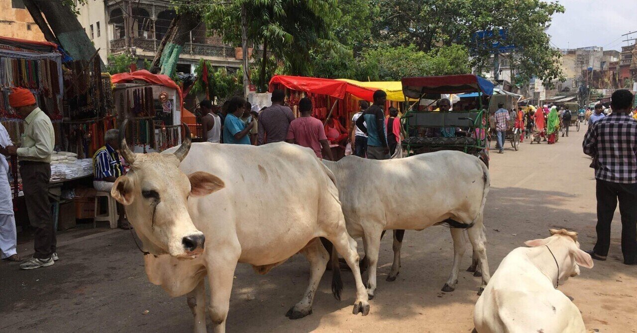 【保存版】インドで牛肉は食べられる？―規制・代替・宗教と現実を徹底解説｜j hama@インド駐在