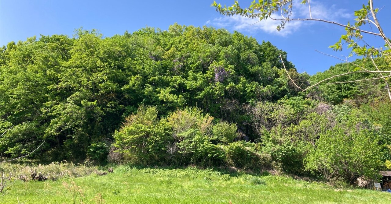 自分に戻れる場所〜SNS発信連続発信チャレンジ31日目｜NPO法人育自の魔法