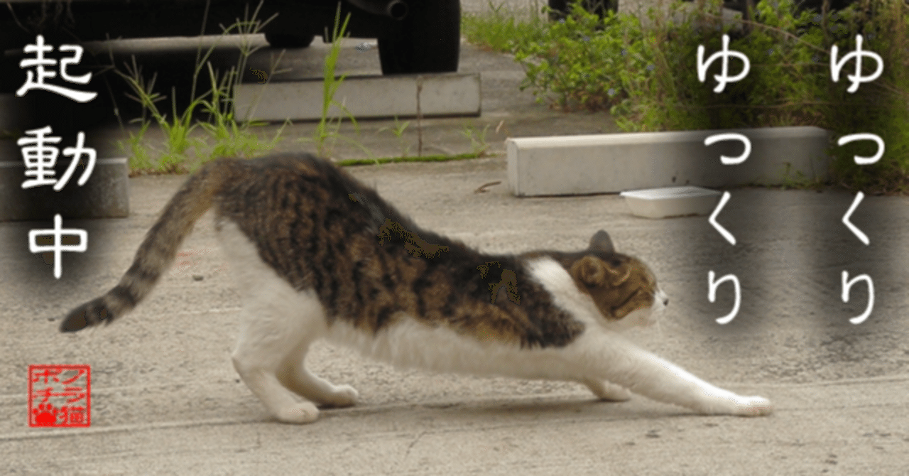 死別の辛さから立ち直れない方におすすめの本。｜HIRO｜LIFEって今＠50代