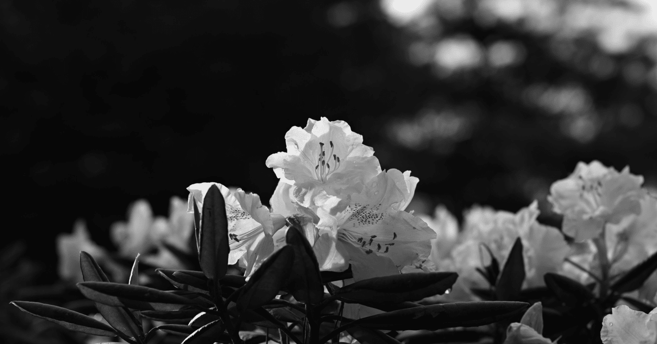 ちょうどいい生き方。｜Rumi Kusunoki