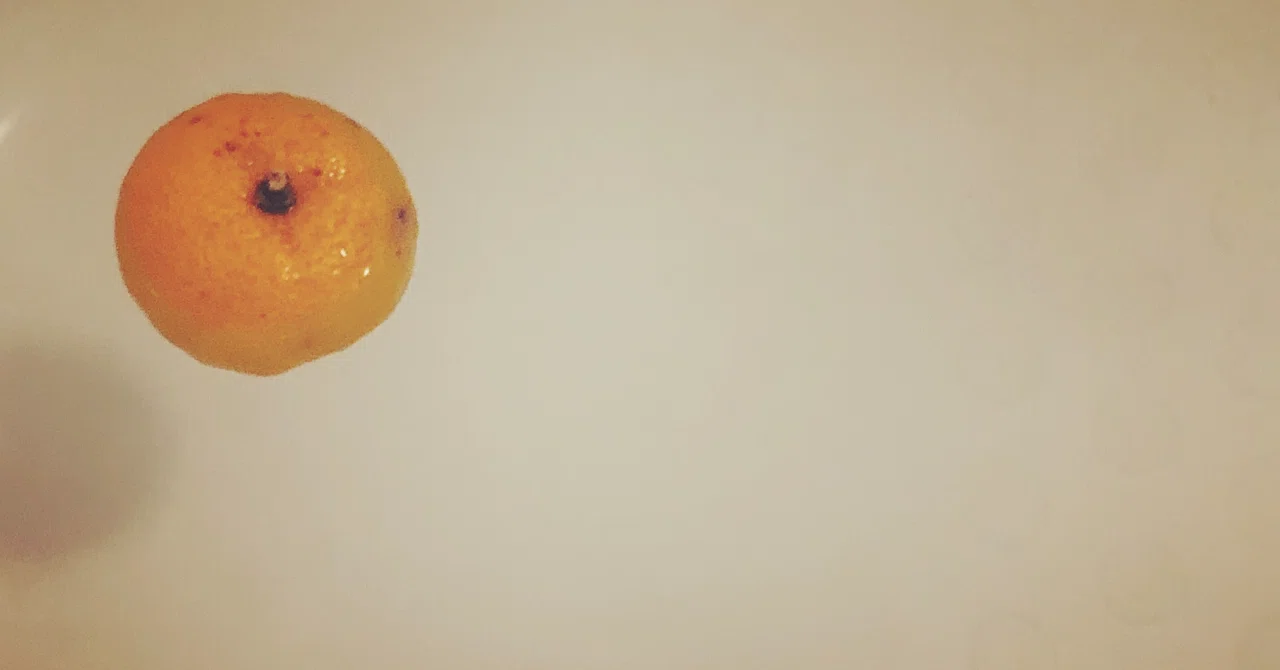 室内でもフードを被り，マスクをしているとぬくぬくして落ち着く．暖かさと湿度のせいかな．｜xivia | ゼビア