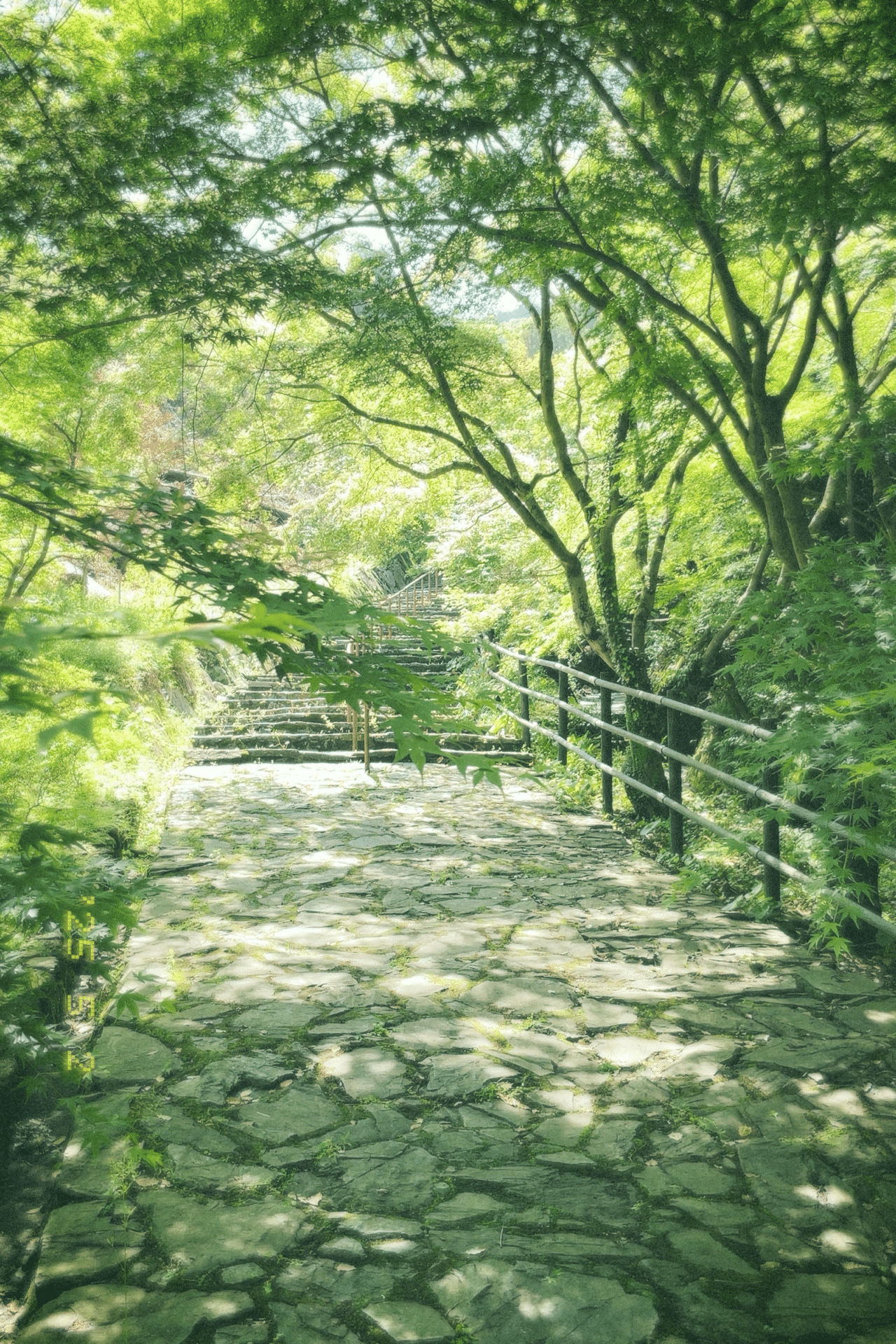 恒例行事。｜むらしょう(Sho Nishimura)