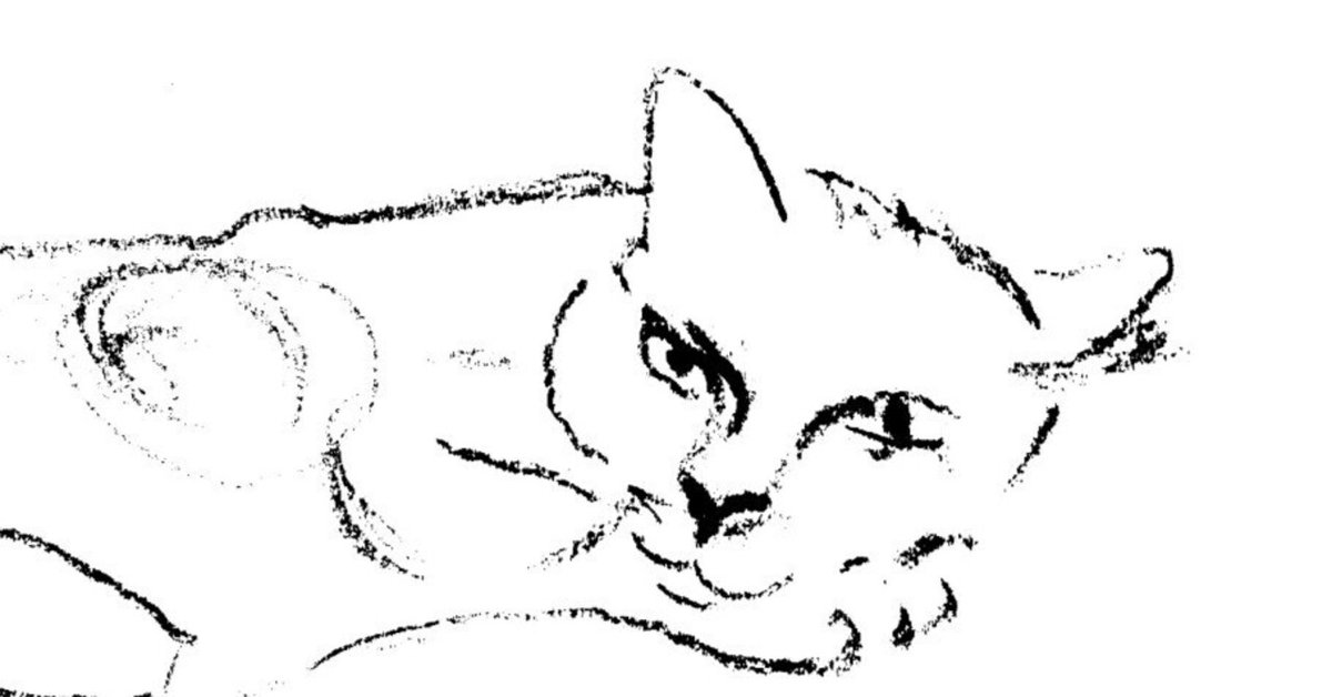 猫じゃらしズム あり得ない停電｜仁吾巴 妍 niaha ken