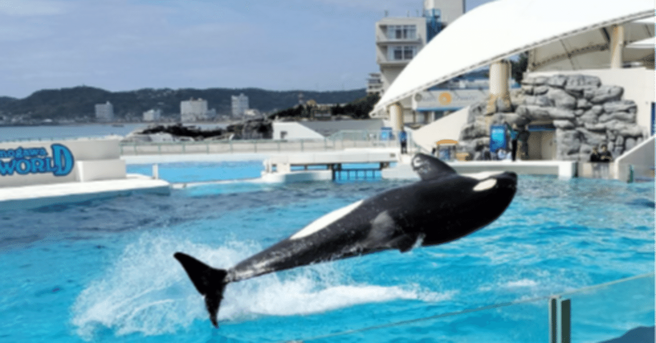 【家族旅行記】鴨川シーワールドとアクシー号日帰りプラン｜生成AIも活用して作った行程｜poni_twins